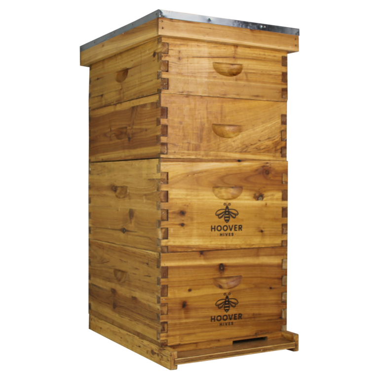 Medium Honey Super With Frames - Hoover Hives
